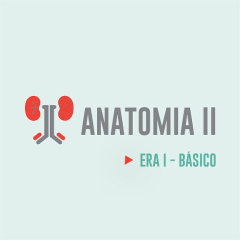 Intensivo final- Anatomia – marcelo – Instituto Biomed